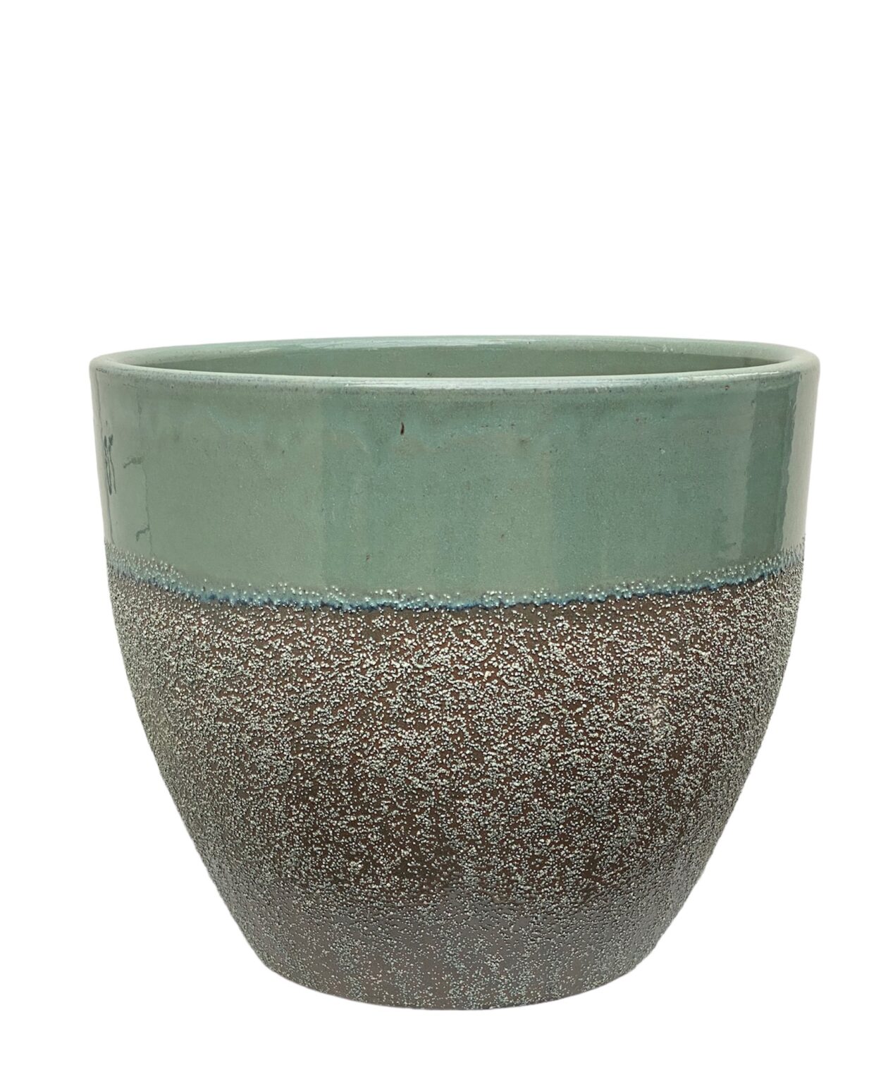 image5 (1) – Emirgan Botanik